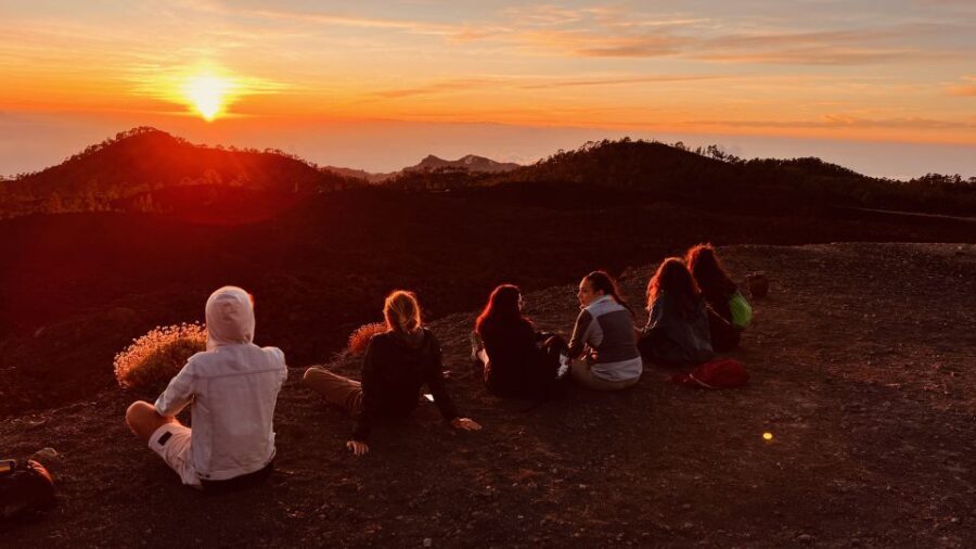 Tenerife: Private VIP Tour Teide National Park - The Itinerary and What It Means for You