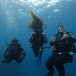 Tenerife: Puerto Colon Certified Scuba Dive by Speed Boat - Detailed Breakdown of the Itinerary