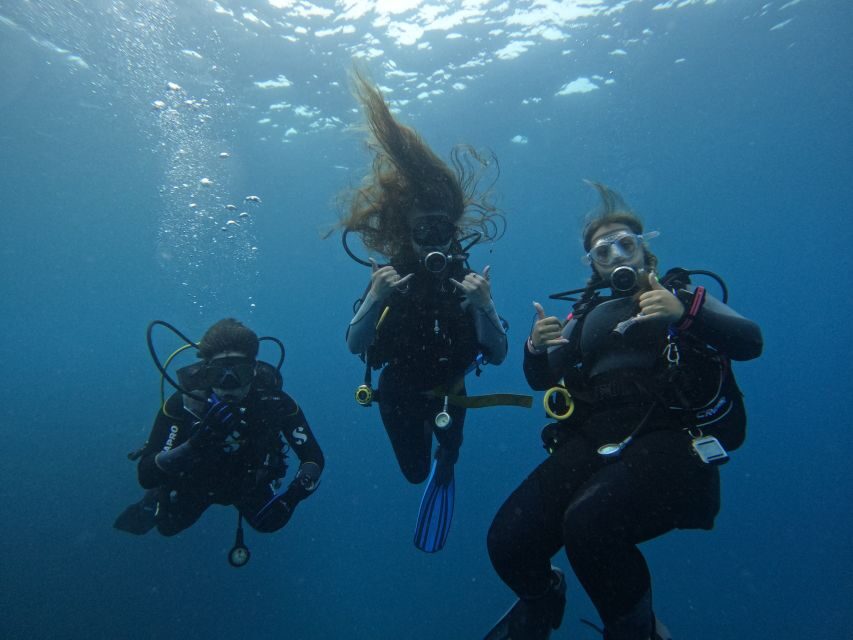 Tenerife: Puerto Colon Certified Scuba Dive by Speed Boat - Detailed Breakdown of the Itinerary