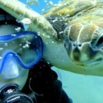 Tenerife: Puerto Colon Discover Scuba Diving Trip - Breaking Down the Itinerary