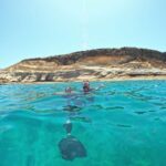Tenerife: Puerto Colon Snorkel Safari by Speed Boat - What Makes This Tour Unique and Worth Considering?