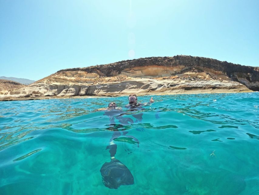 Tenerife: Puerto Colon Snorkel Safari by Speed Boat - What Makes This Tour Unique and Worth Considering?
