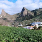 Tenerife-Puerto Cruz: Avatar Hiking, Bajamar and Cocktail - Why This Tour Is a Smart Choice