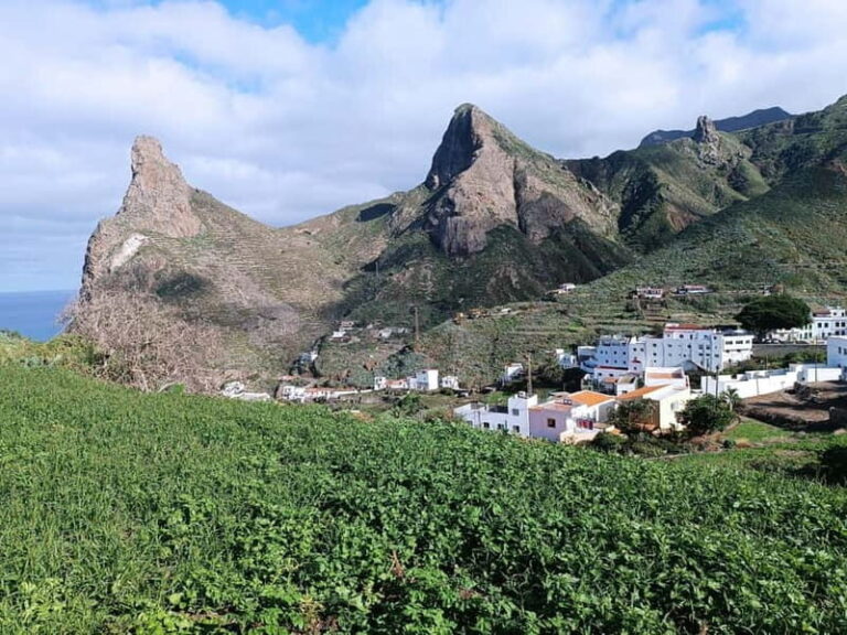 Tenerife-Puerto Cruz: Avatar Hiking, Bajamar and Cocktail - Why This Tour Is a Smart Choice