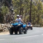Tenerife: Quad Adventure Tour in Teide National Park - Who Is It Best For?