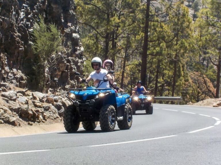 Tenerife: Quad Adventure Tour in Teide National Park - Who Is It Best For?