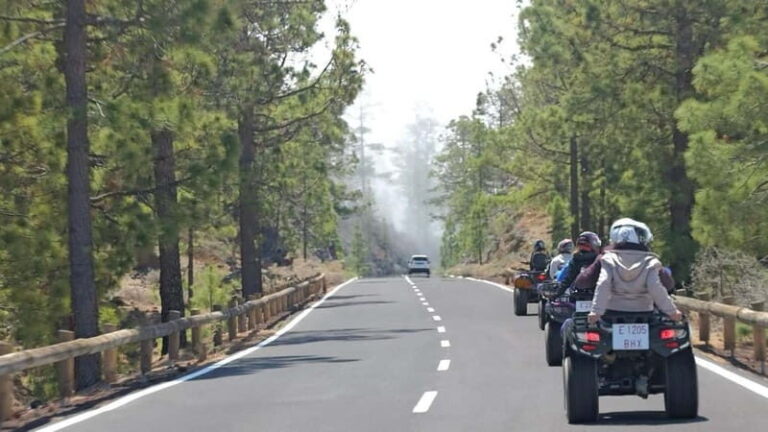Tenerife: Quad Trip to the mount Teide with snack - Practical Tips for Participants