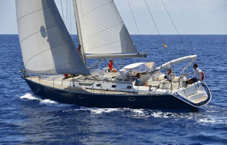 Tenerife: Sailing Excursion with Whale and Dolphin Watching - The Itinerary: From Coastline to Secluded Bay
