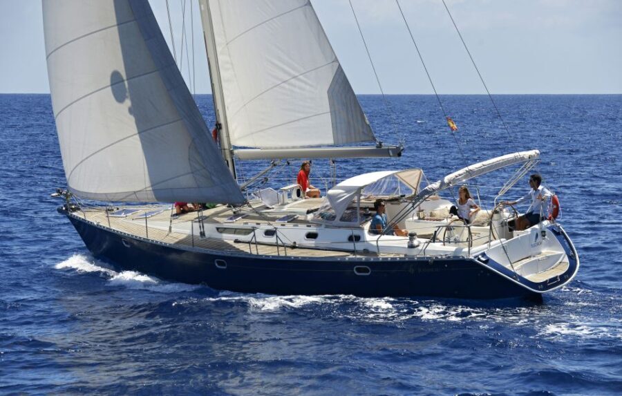 Tenerife: Sailing Excursion with Whale and Dolphin Watching - The Itinerary: From Coastline to Secluded Bay