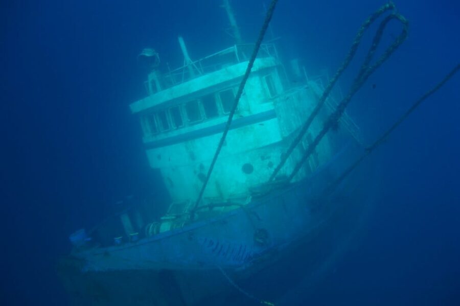 Tenerife Scuba Diving for Certified Divers - Who Should Consider This Tour?