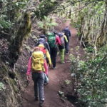 Tenerife: Senderismo Anaga, Bosque Mágico, Reserva Biosfera - The Itinerary in Detail