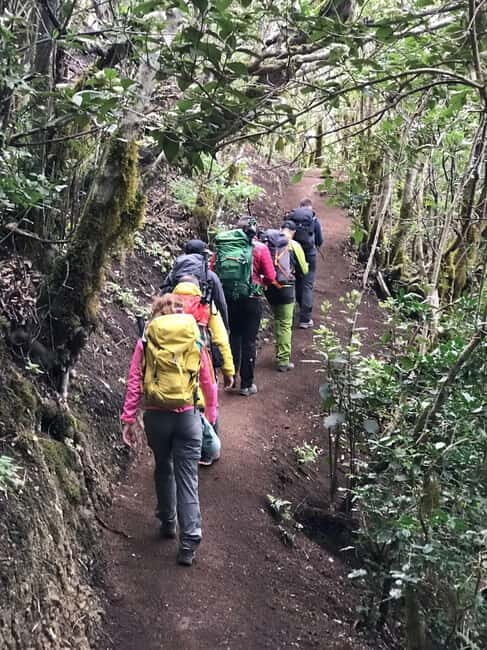 Tenerife: Senderismo Anaga, Bosque Mágico, Reserva Biosfera - The Itinerary in Detail