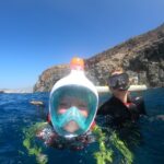 Tenerife: Snorkeling Trip in a Turtle Habitat - In-Depth Breakdown of the Tour