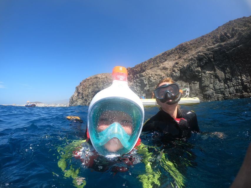 Tenerife: Snorkeling Trip in a Turtle Habitat - In-Depth Breakdown of the Tour