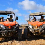 Tenerife: South Coast Buggy Tour with Off-Roading - Value and Real-World Insights
