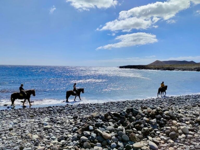 Tenerife South: Private Horseback Riding to the Coast - The Fine Details: Itinerary and Highlights