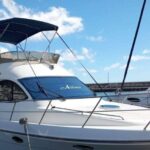 Tenerife south: safari with luxury boat , animals encounters - Analyzing the Value