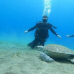 Tenerife south: Scuba Dive for beginners in Adeje - Why Tenerife Is the Perfect Place for Beginner Diving