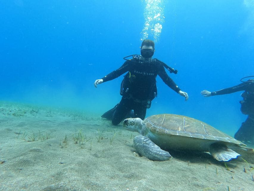 Tenerife south: Scuba Dive for beginners in Adeje - Why Tenerife Is the Perfect Place for Beginner Diving