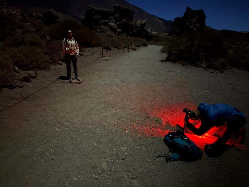 Tenerife: Stargazing Walk in Teide National Park - What Makes This Tour Stand Out