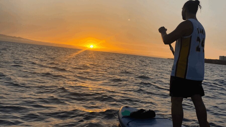 Tenerife: Sunset Stand-Up Paddleboarding Tour - The Experience in Detail