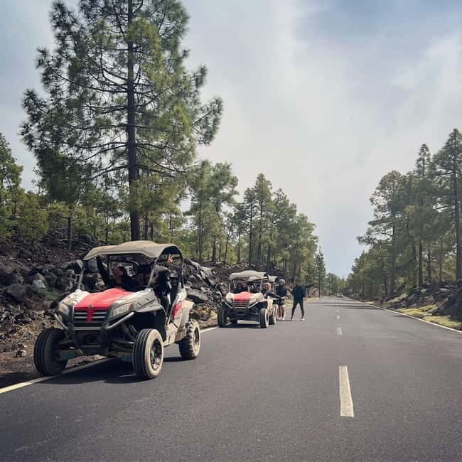 Tenerife: Teide National Park and Volcano Buggy Tour - Who Will Love This Tour?
