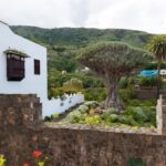 Tenerife: Teide National Park Full-Day Tour with Pickup - The Itinerary in Detail