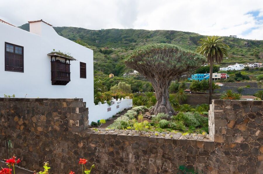 Tenerife: Teide National Park Full-Day Tour with Pickup - The Itinerary in Detail