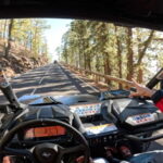 Tenerife: Teide National Park Guided Buggy Tour - What Makes This Tour Special