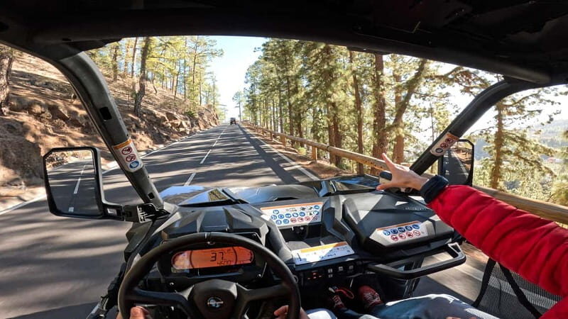 Tenerife: Teide National Park Guided Buggy Tour - What Makes This Tour Special
