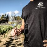 Tenerife: Tour of an Organic Vineyard with Tasting & Snacks - The Views and Environment: A Feast for the Eyes and the Senses