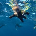 Tenerife: Underwater Lava Tongues Snorkel Excursion - Practical Tips for Participants