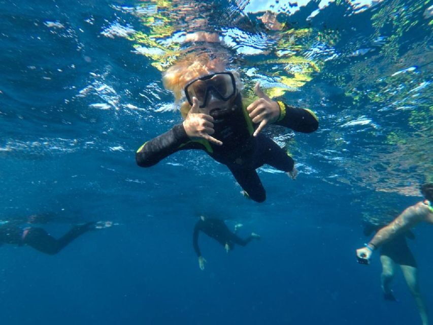 Tenerife: Underwater Lava Tongues Snorkel Excursion - Practical Tips for Participants
