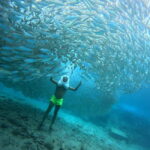 Tenerife: Underwater Walk - Sea Trek Experience - Breakdown of the Itinerary