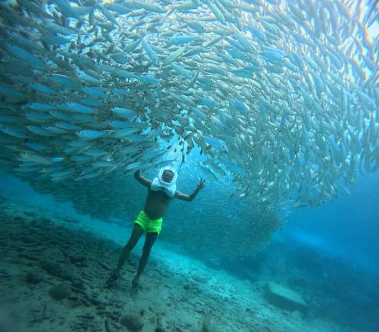 Tenerife: Underwater Walk - Sea Trek Experience - Breakdown of the Itinerary