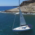Tenerife: Whale and Dolphin Watching Tour by Sailboat - Why This Tour Stands Out