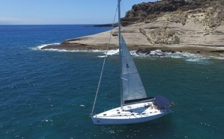 Tenerife: Whale and Dolphin Watching Tour by Sailboat - Why This Tour Stands Out