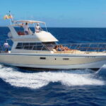 Tenerife: Whale watching tour with swim and lunch on yacht for 22 passengers - The Itinerary in Detail