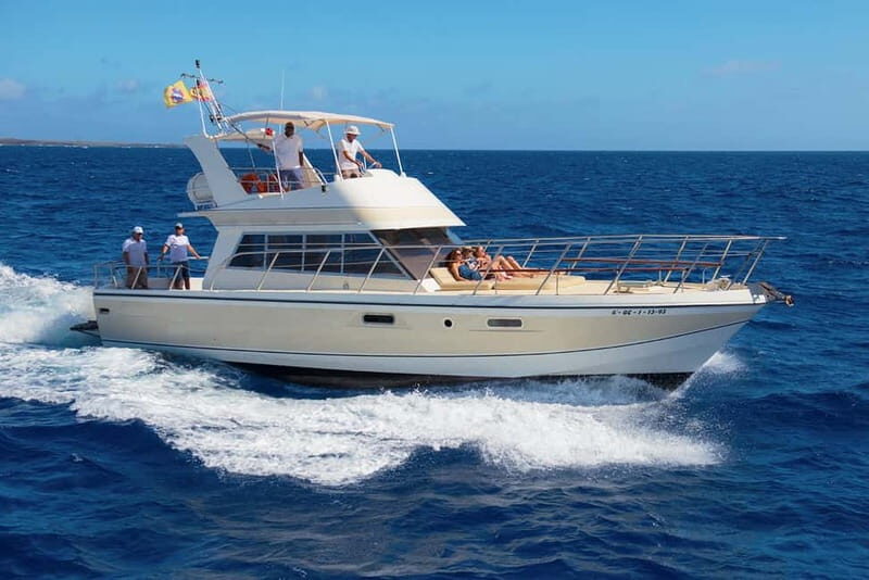 Tenerife: Whale watching tour with swim and lunch on yacht for 22 passengers - The Itinerary in Detail