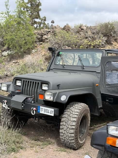 Tenerife: Wrangler Jeep tour to visit Los Gigantes and the south coast - How Is the Driving & Group Experience?