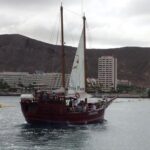 Tenerife:Respectful Whale Watching, Pirate Ship, & Swim - Who Will Love This Tour?