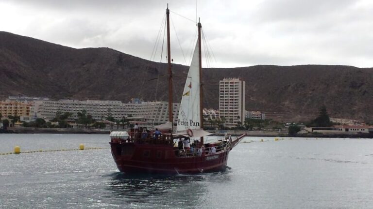 Tenerife:Respectful Whale Watching, Pirate Ship, & Swim - Who Will Love This Tour?