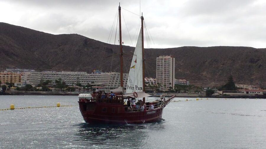 Tenerife:Respectful Whale Watching, Pirate Ship, & Swim - Who Will Love This Tour?