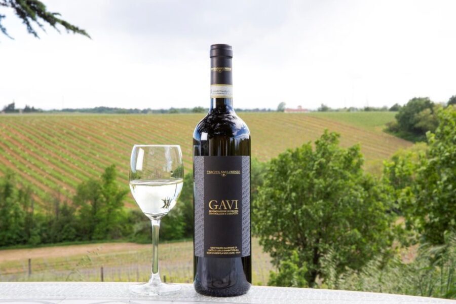 Tenuta San Lorenzo: wine tasting and winery tour - Who Will Appreciate This Tour?