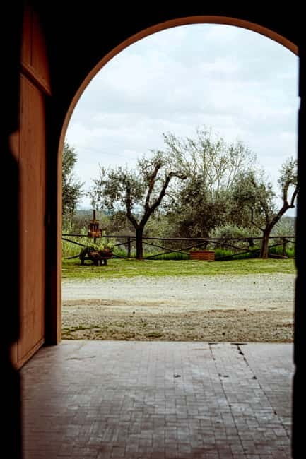 Tenuta San Vito: Organic Wine Tasting with Tuscan Cold Cuts - The Organic Wine Tasting: Four Wines to Savor