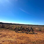 Tenute Girolamo: Wine & Bike Tour in the Itria Valley - The Sum Up