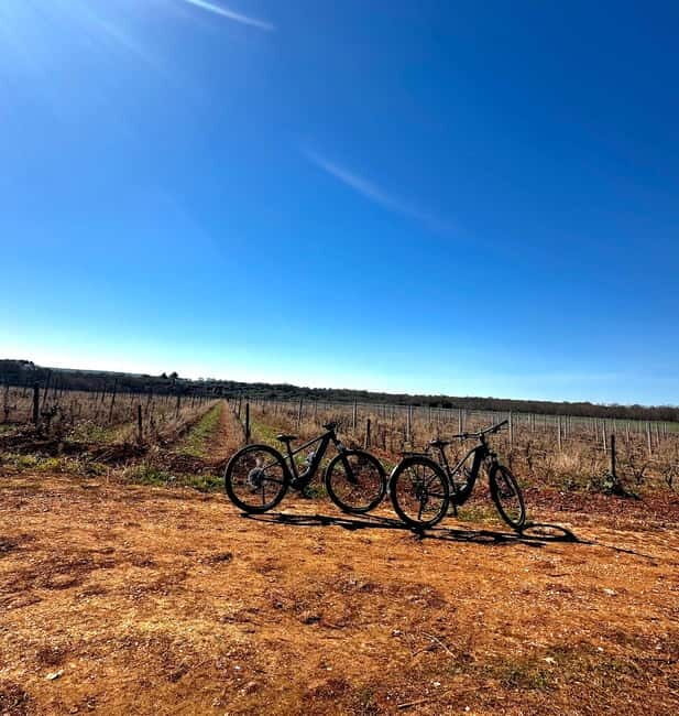 Tenute Girolamo: Wine & Bike Tour in the Itria Valley - The Sum Up