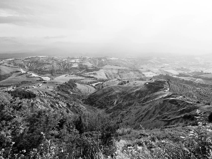 Teramo: Private Oil Mill Tour and Guided Tasting - The Tour Itself: A Behind-the-Scenes Perspective