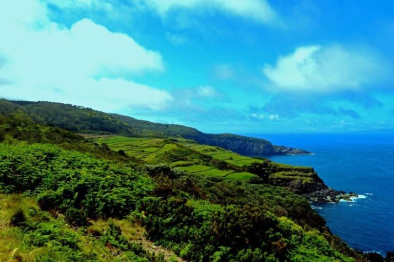 Terceira: Half-Day Island Tour with Cheese Tasting - Itinerary Breakdown: What You’ll See and Do