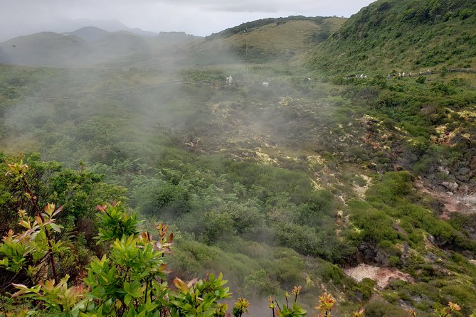 Terceira Island Caves Tour - Half Day (Afternoon) - Exploring Terceiras Volcanic Caves: A Practical Guide to the Half-Day Tour